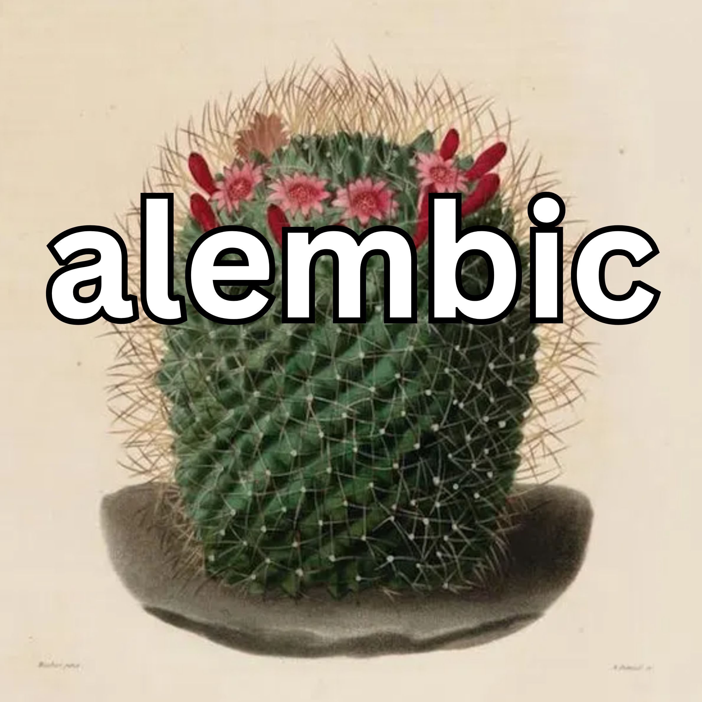 Guida ad Alembic per migrazioni e versionamento DB in Python